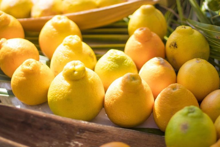 Tous les aliments en P: la liste complète à découvrir