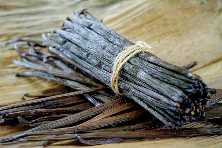 Les aliments marrons: fruits, légumes et autres nourritures