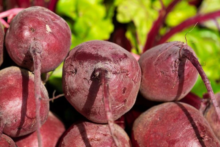 Tous les aliments en D: la liste complète à découvrir