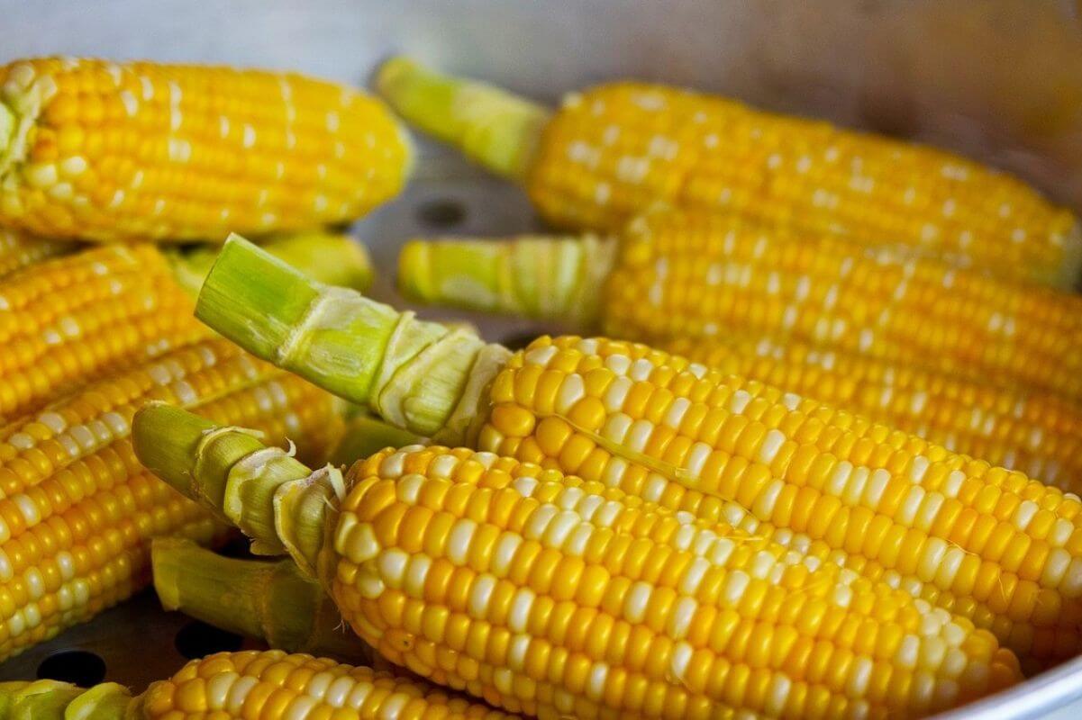 Les aliments rouges: la liste complète à découvrir
