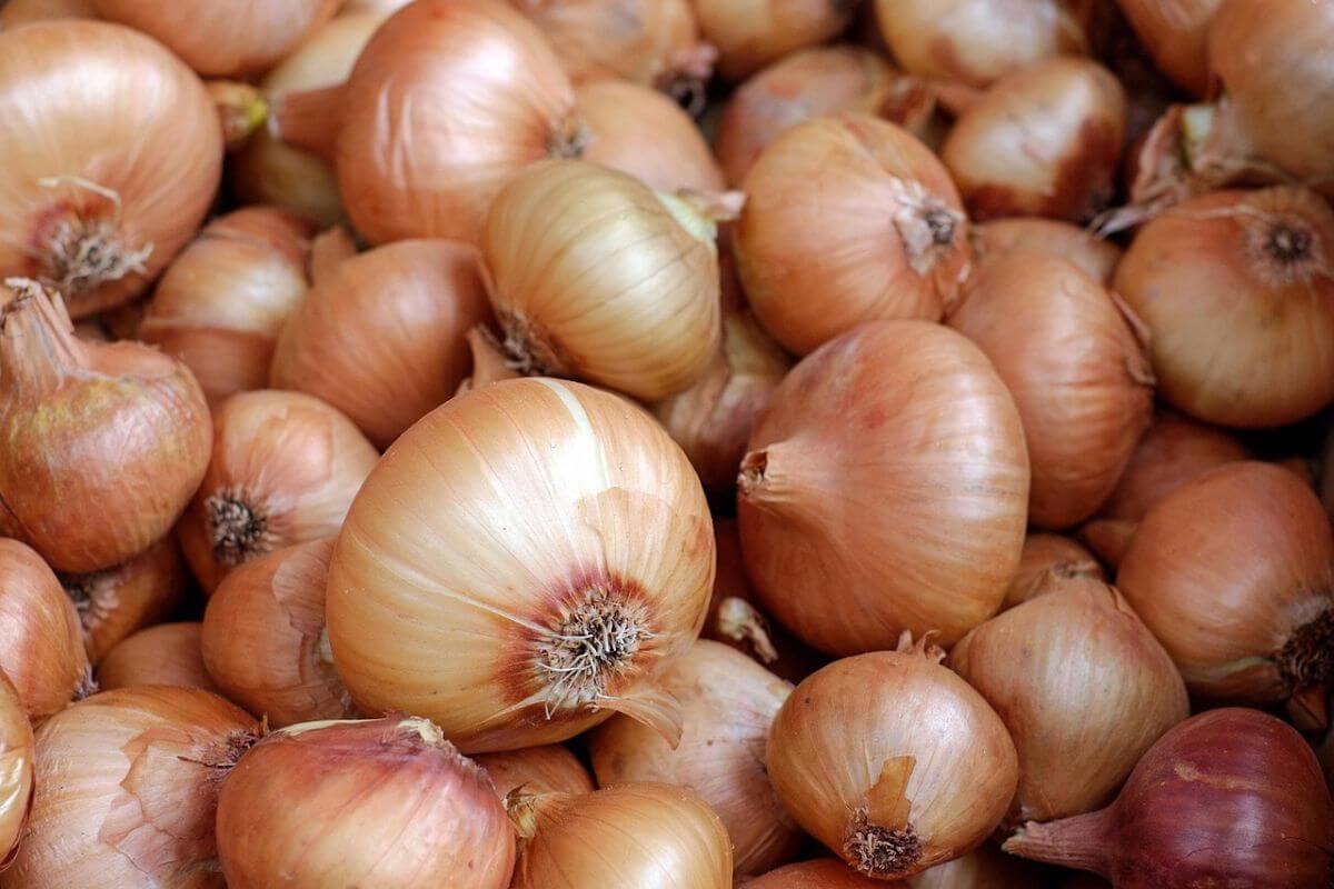 Les aliments rouges: la liste complète à découvrir