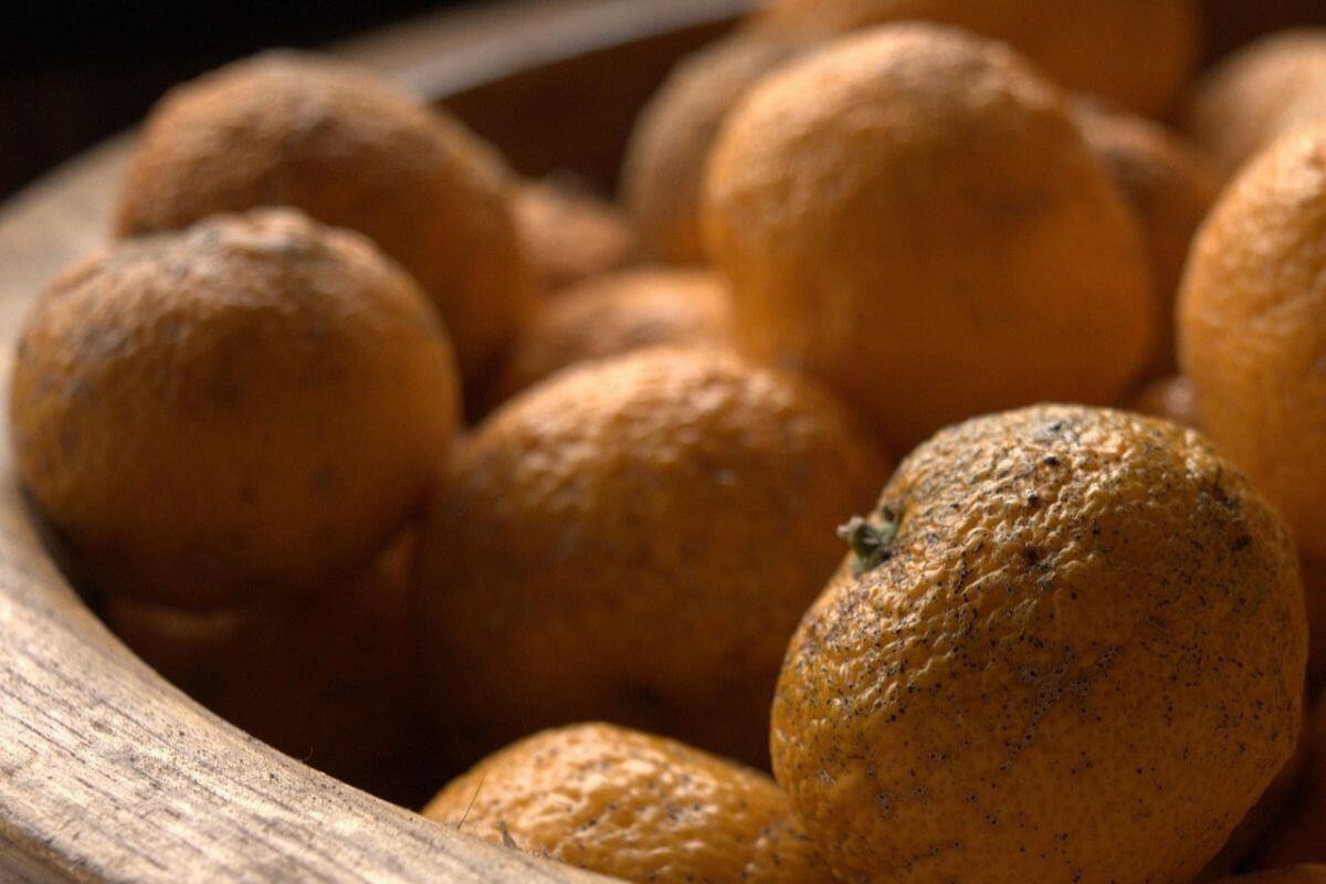 Les aliments en I: la liste complète des nourritures en I