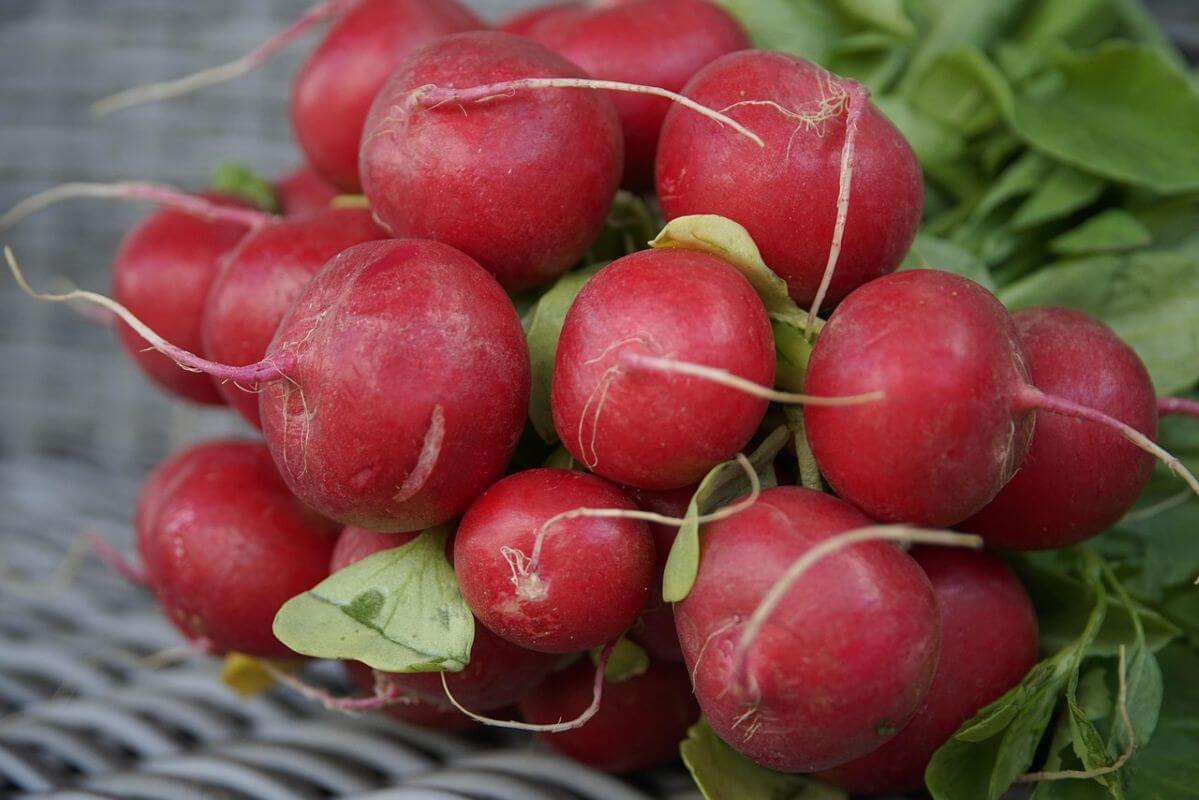 Les aliments rouges: la liste complète à découvrir
