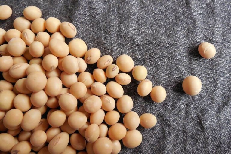 Les aliments rouges: la liste complète à découvrir