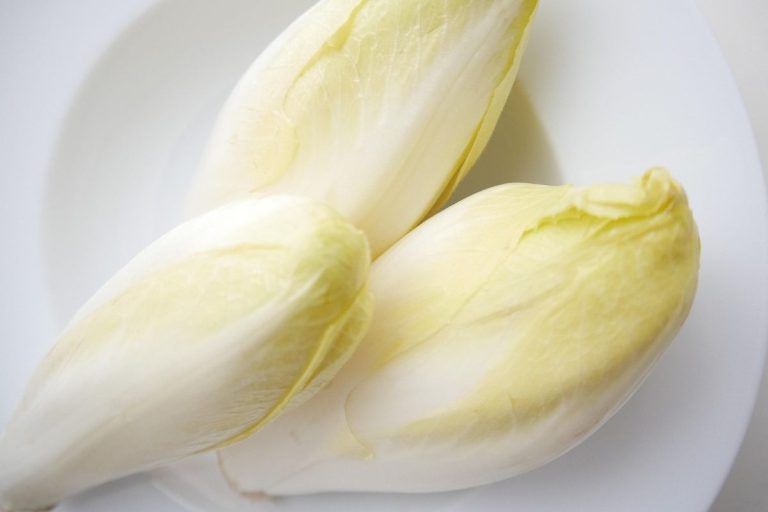 Quels sont les aliments blancs connus: la liste complète